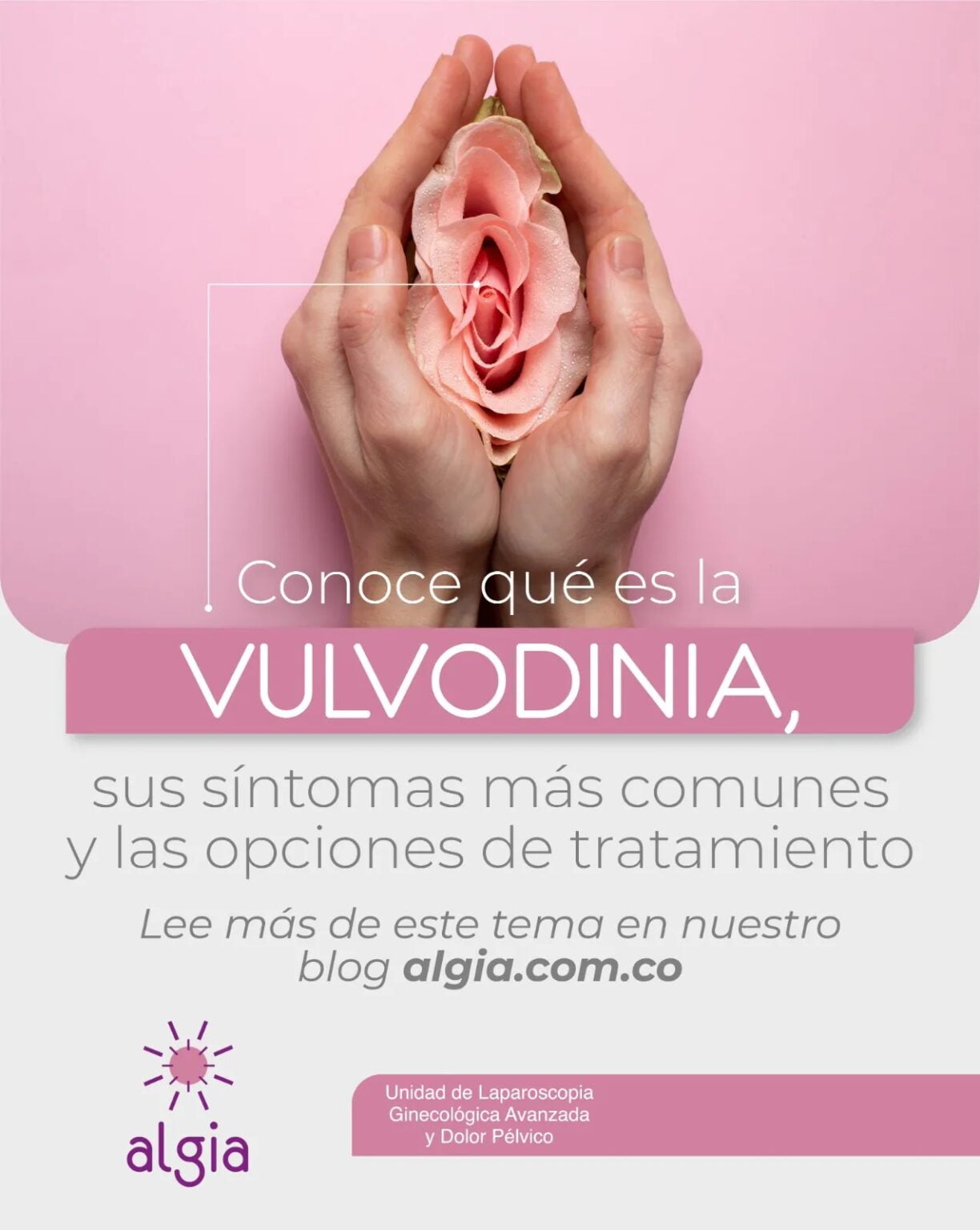 Conoce qué es la vulvodinia, sus síntomas más comunes y las opciones de ...